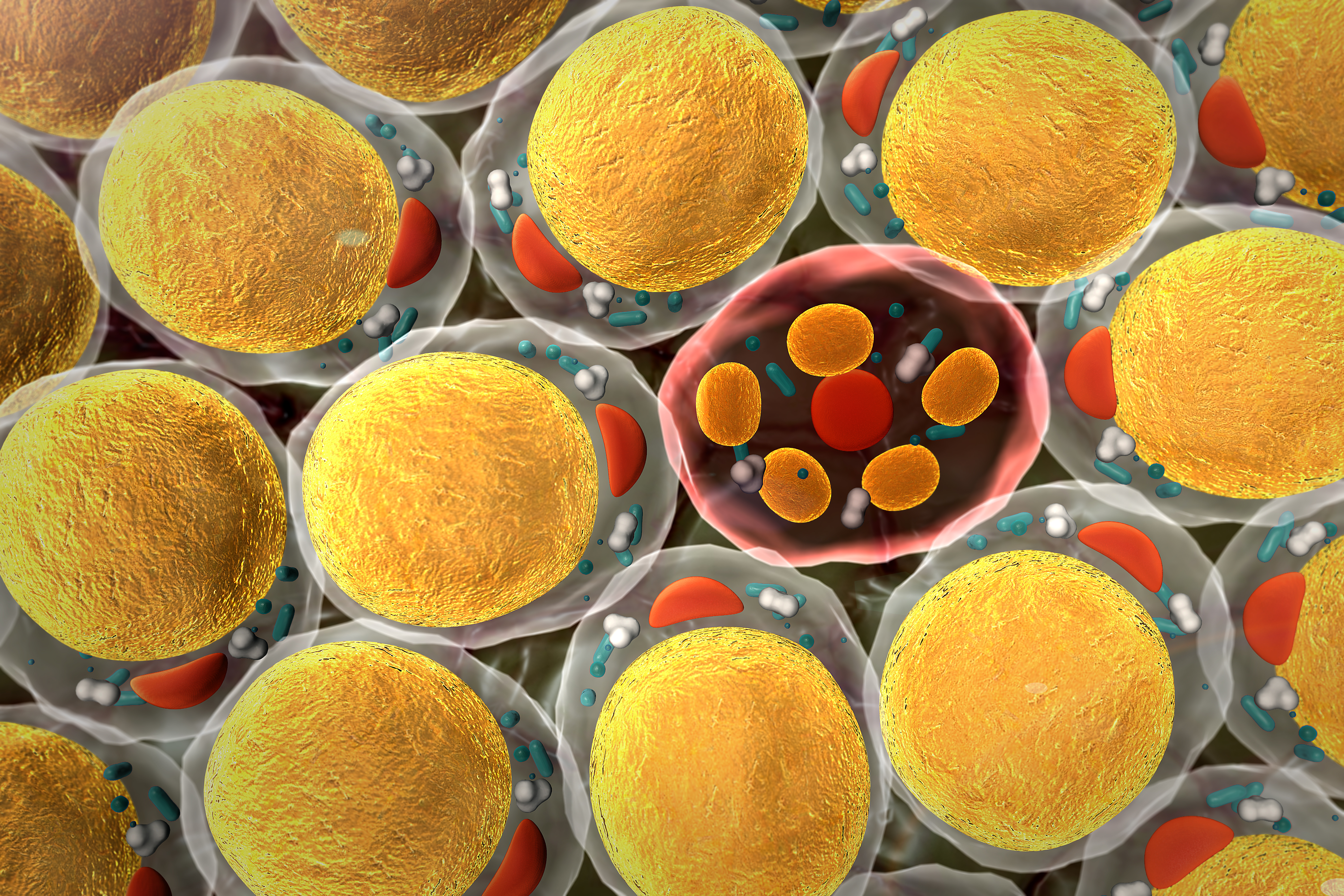 Technology Enables Advancements In Cell Therapy